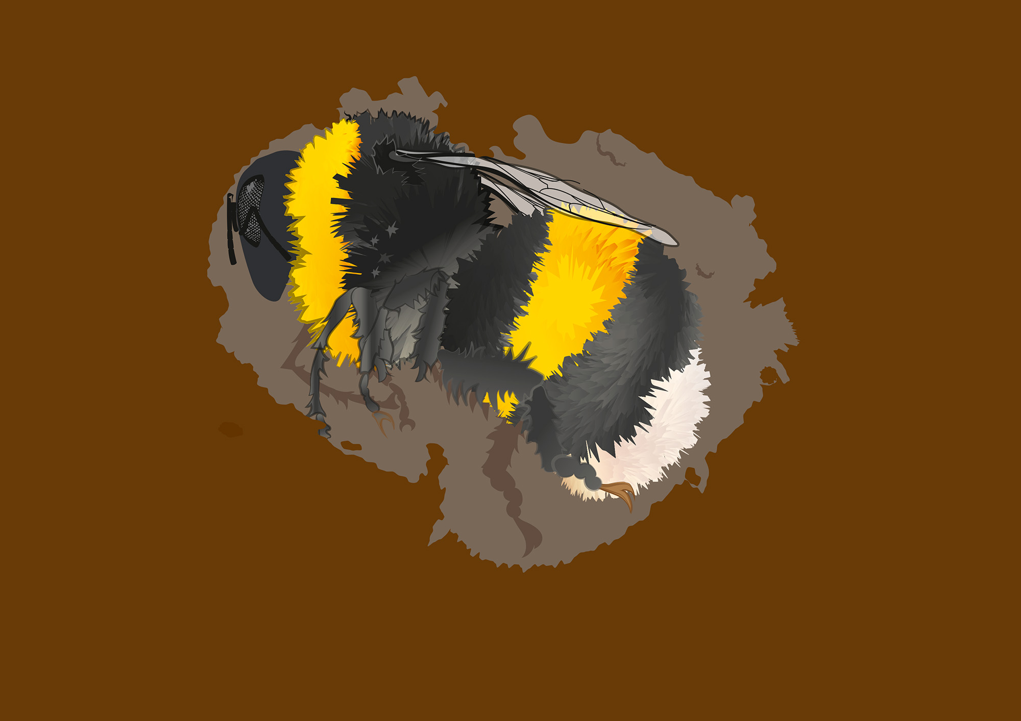 How to help hibernating bumblebees - Bumblebee Conservation Trust