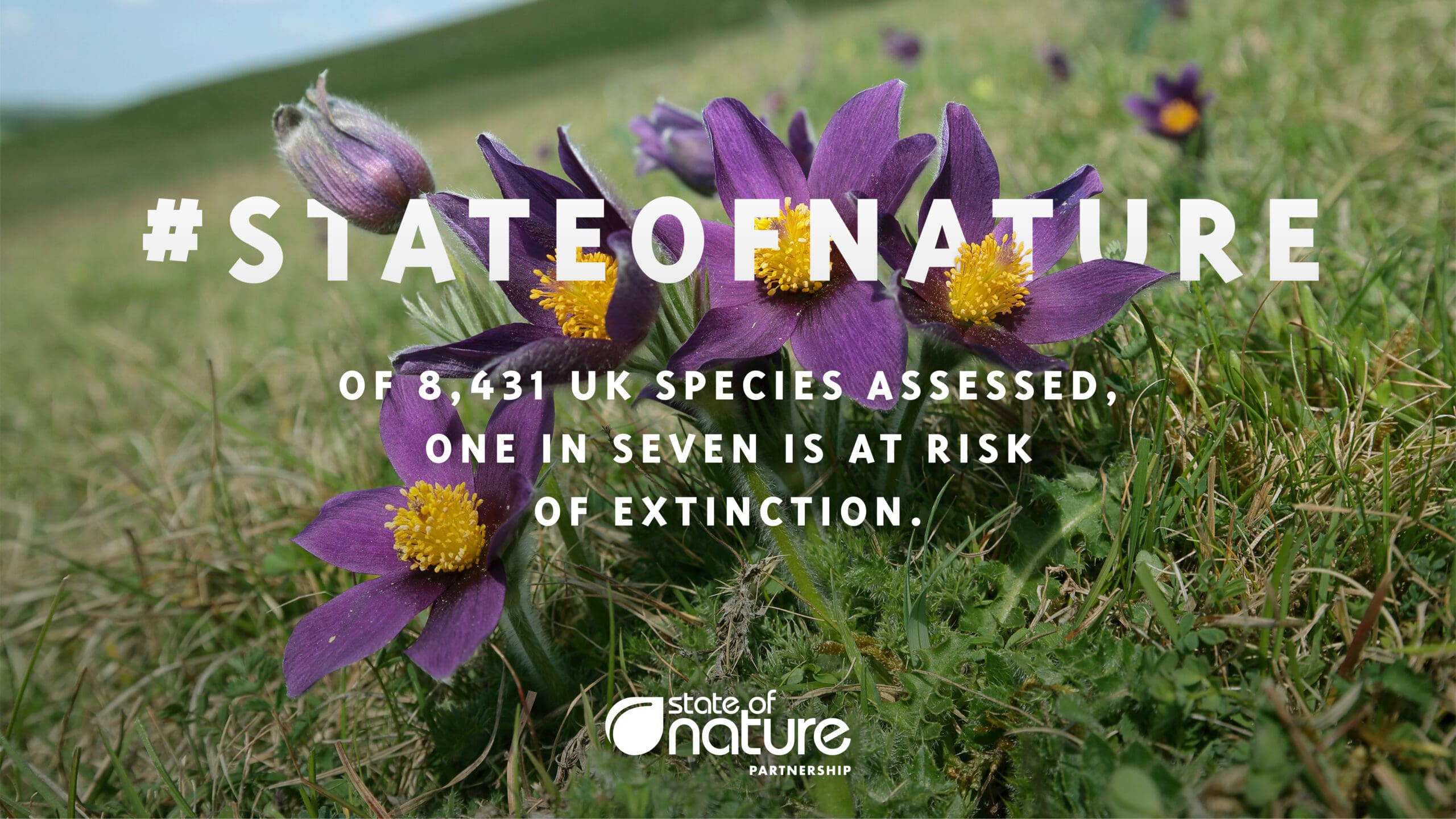 Latest State of Nature Report declares 'No let-up in net loss of UK’s ...