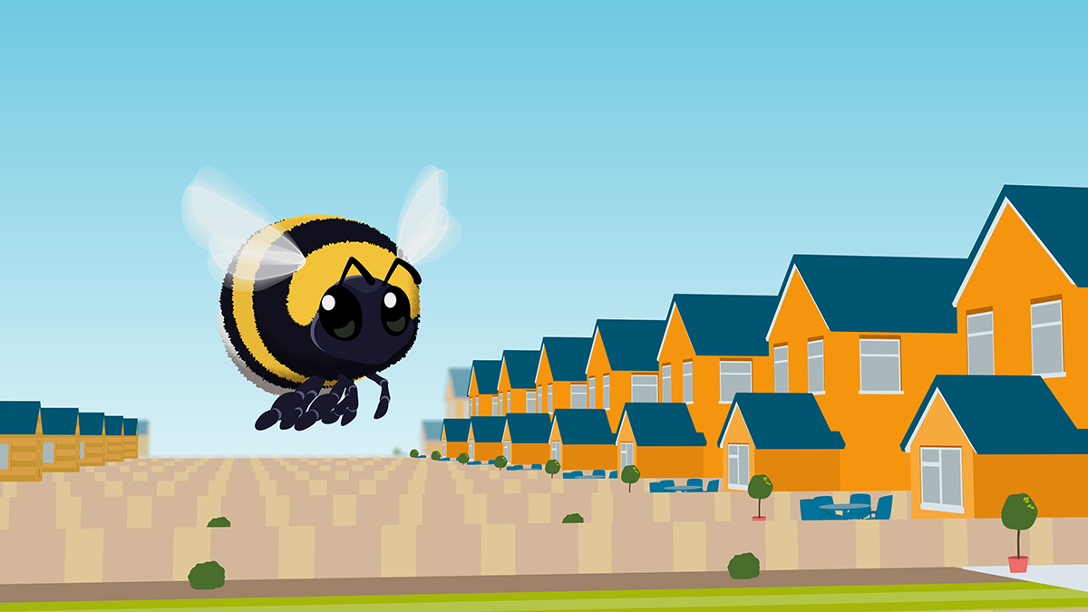 Bee the change - Bumblebee Conservation Trust