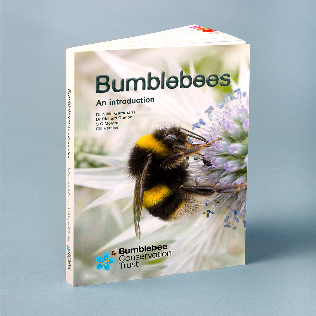 New book hopes to help save the UK’s bumblebees - Bumblebee ...
