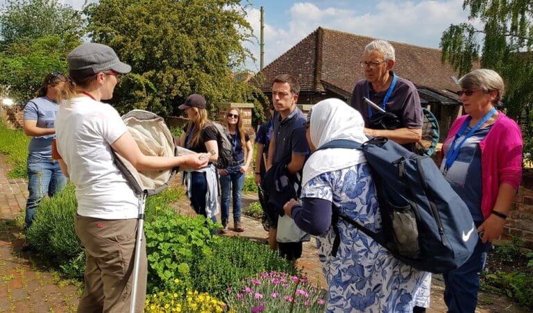 Beginners - Bumblebee Conservation Trust