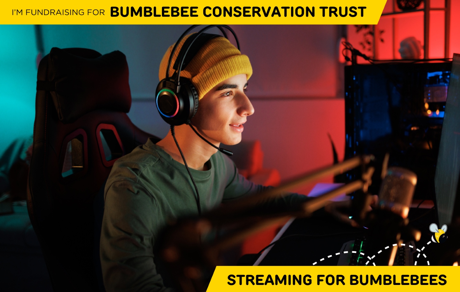 Fundraise for us - Bumblebee Conservation Trust