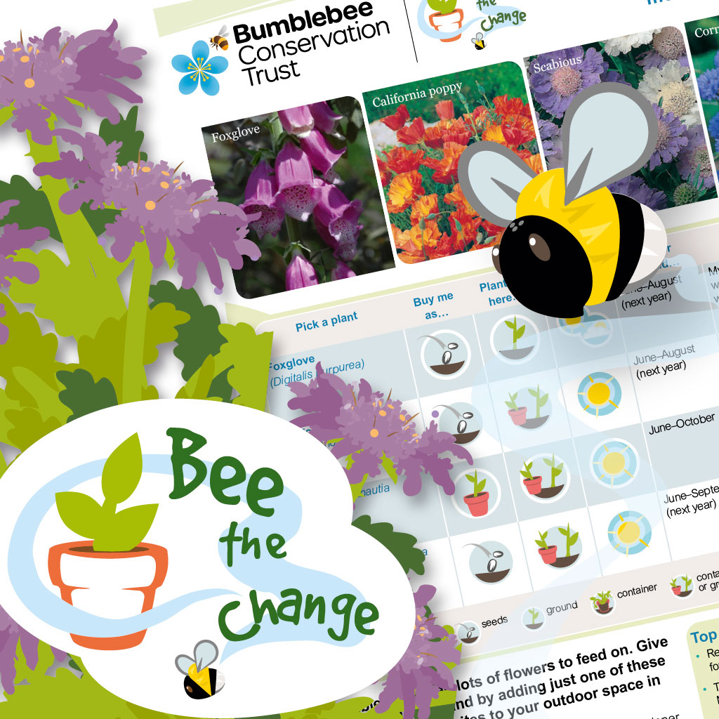 August planting guide - Bumblebee Conservation Trust