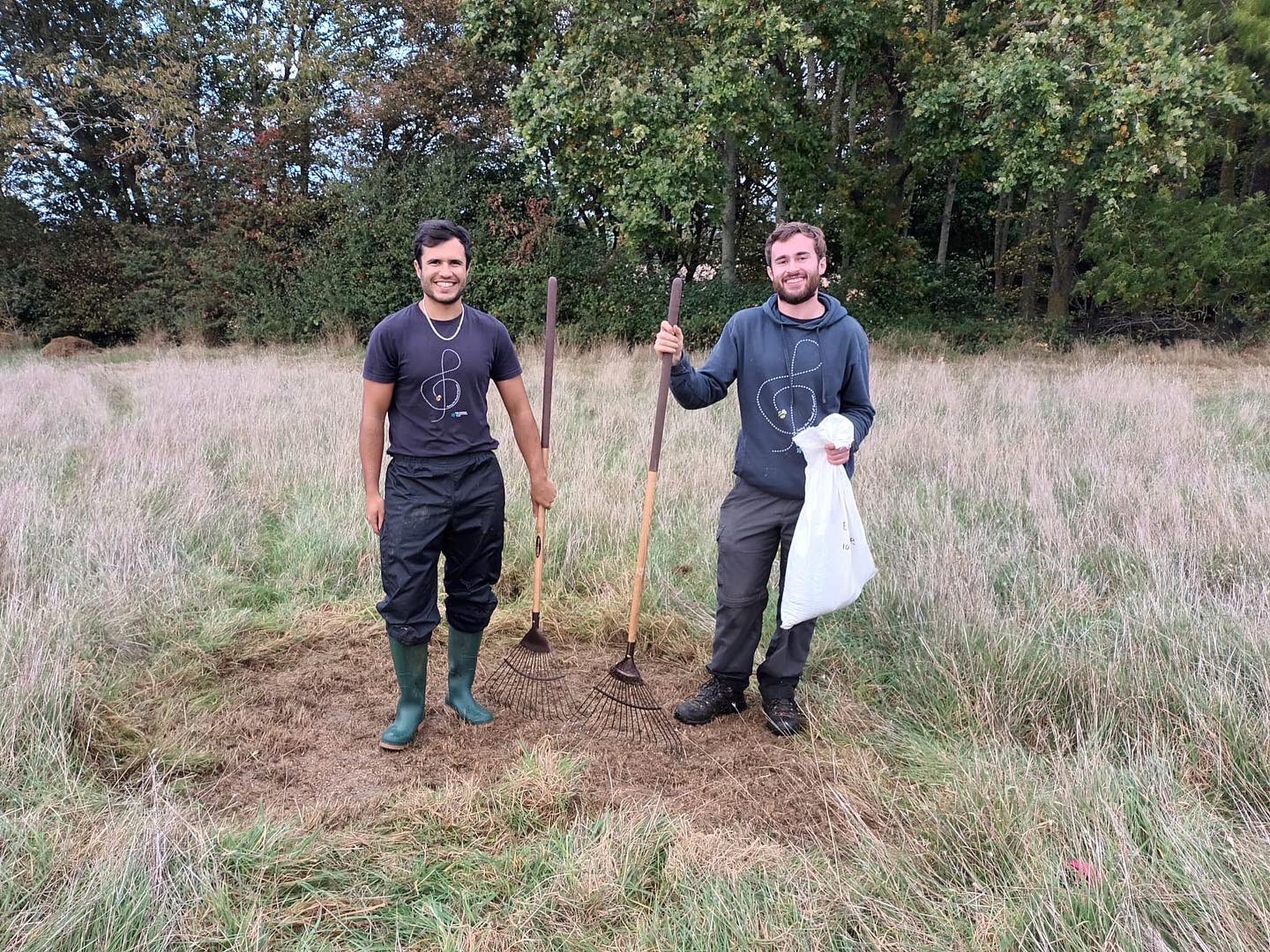 Traineeship at the Trust - Bumblebee Conservation Trust