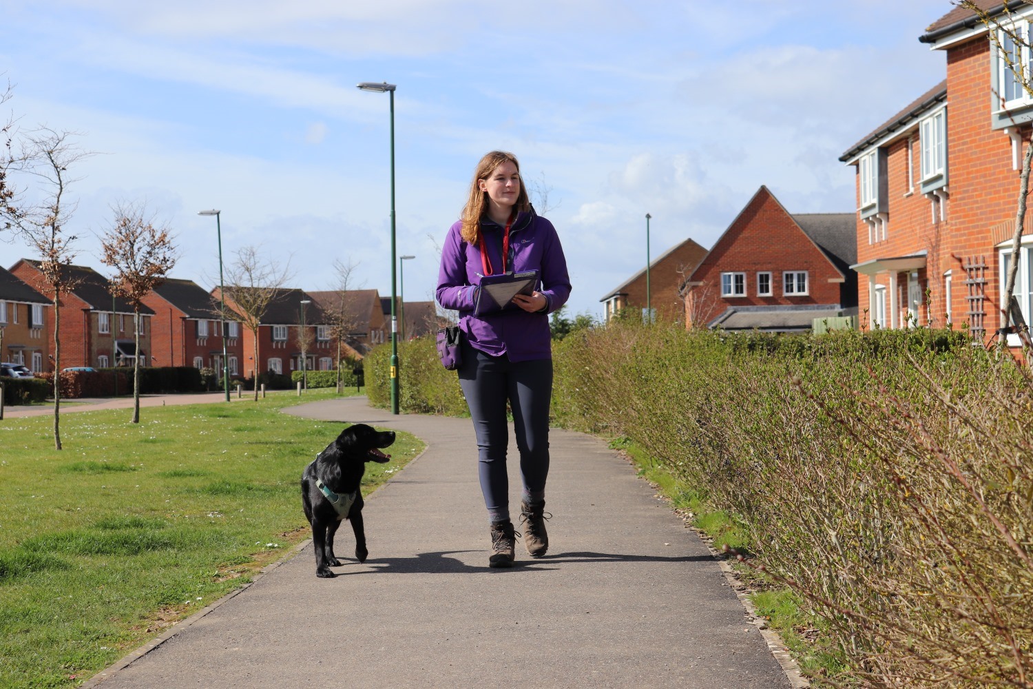 Where are all the bumblebees? - Bumblebee Conservation Trust
