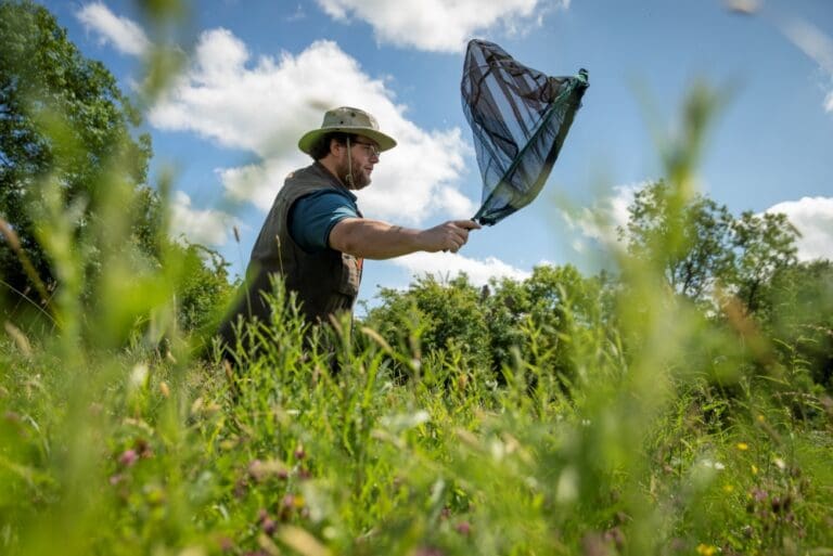 A brief guide to solitary bee nest boxes - Bumblebee Conservation Trust
