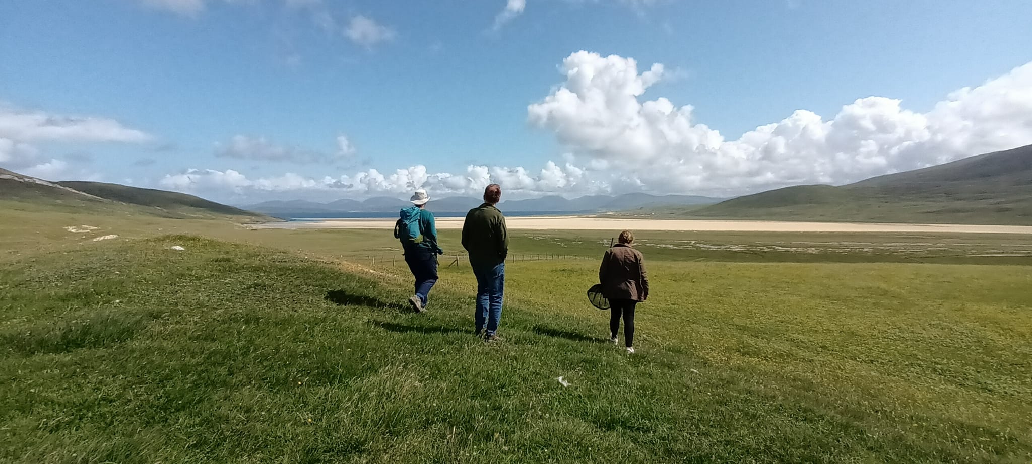Bumblebee surveying and monitoring - Bumblebee Conservation Trust