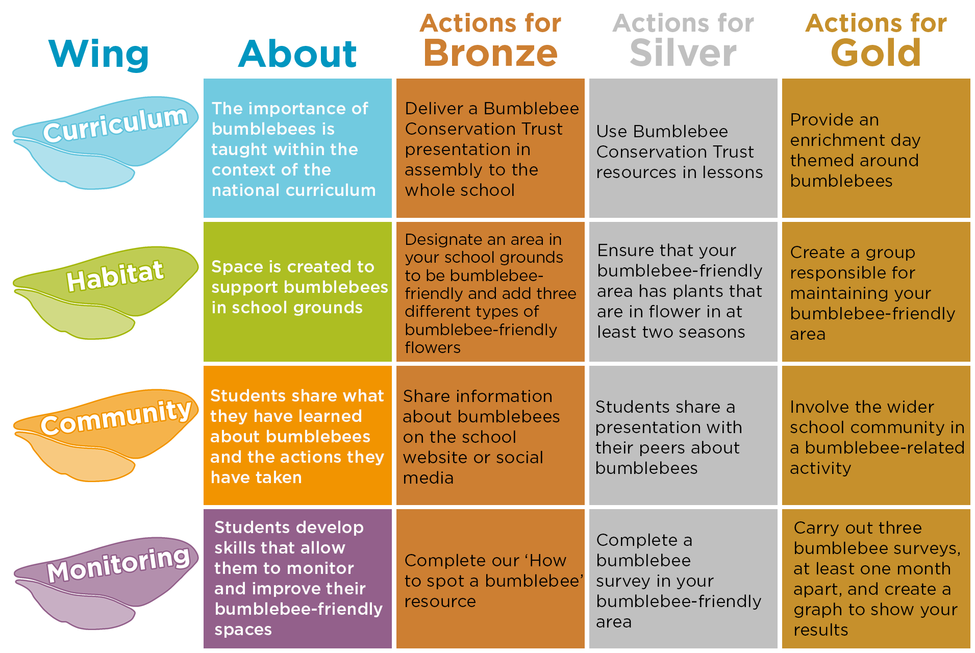 Bumblebee-friendly Schools Award - Bumblebee Conservation Trust