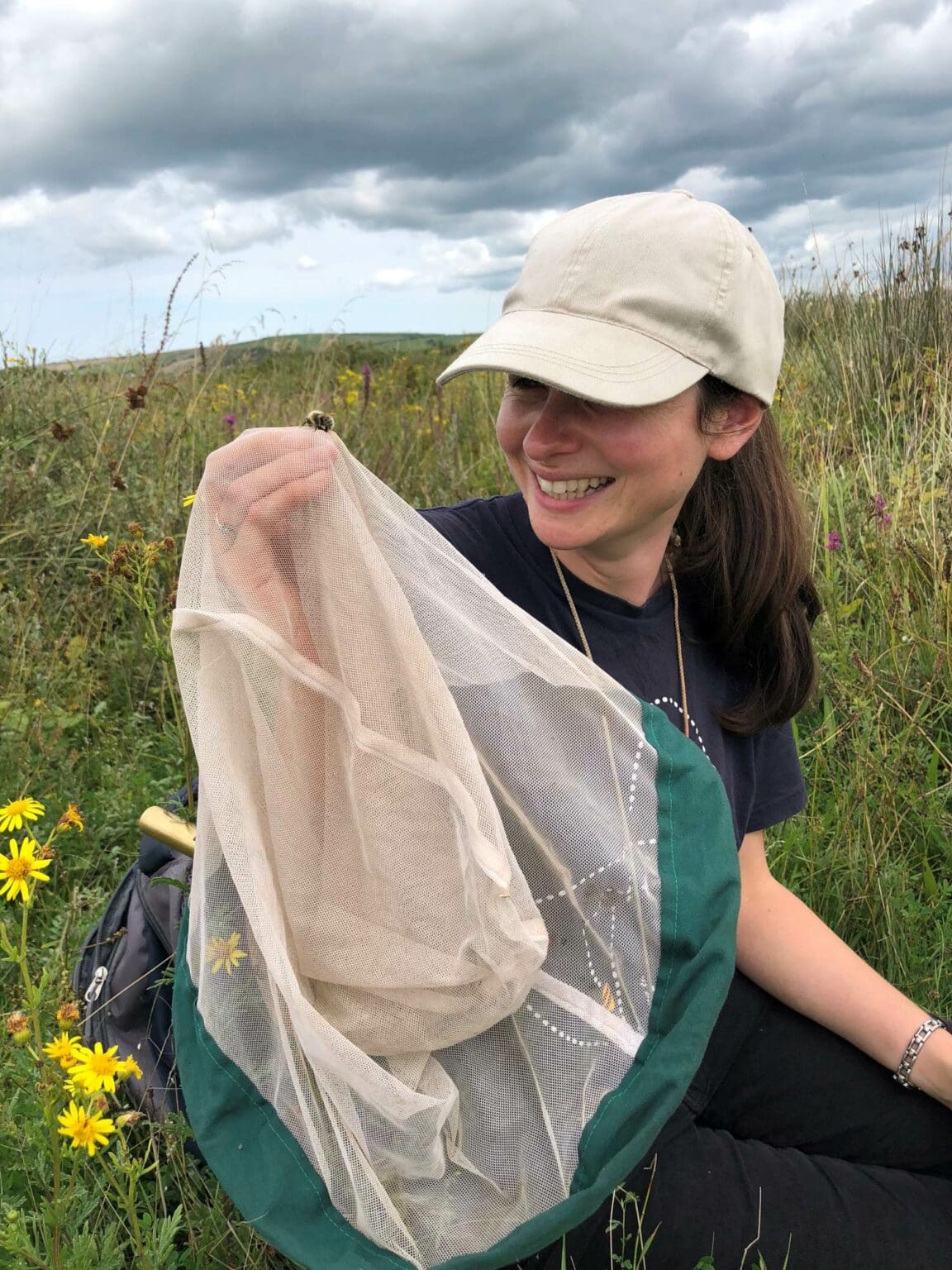 The Bumblebee Conservation Trust's past projects - Bumblebee ...