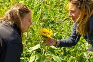 Bumblebee species guide - Bumblebee Conservation Trust