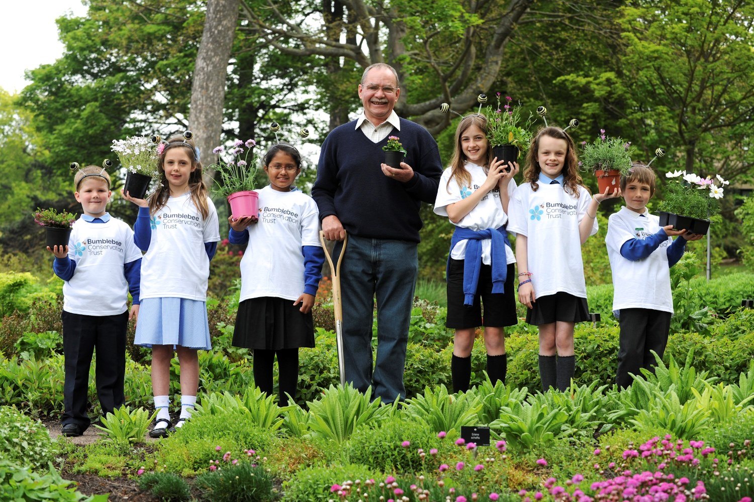 Bumblebee-friendly Schools Award - Bumblebee Conservation Trust