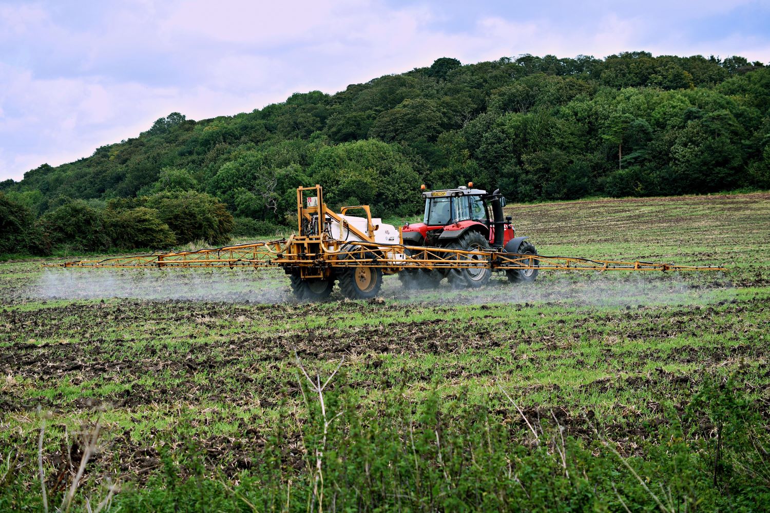 Pesticides Position Statement - Bumblebee Conservation Trust