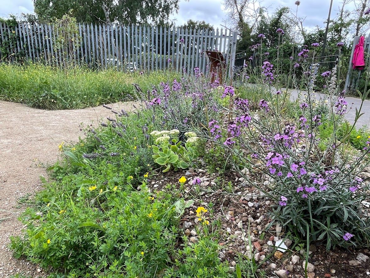 A new Wild Bee Garden for London Borough of Newham - Bumblebee ...