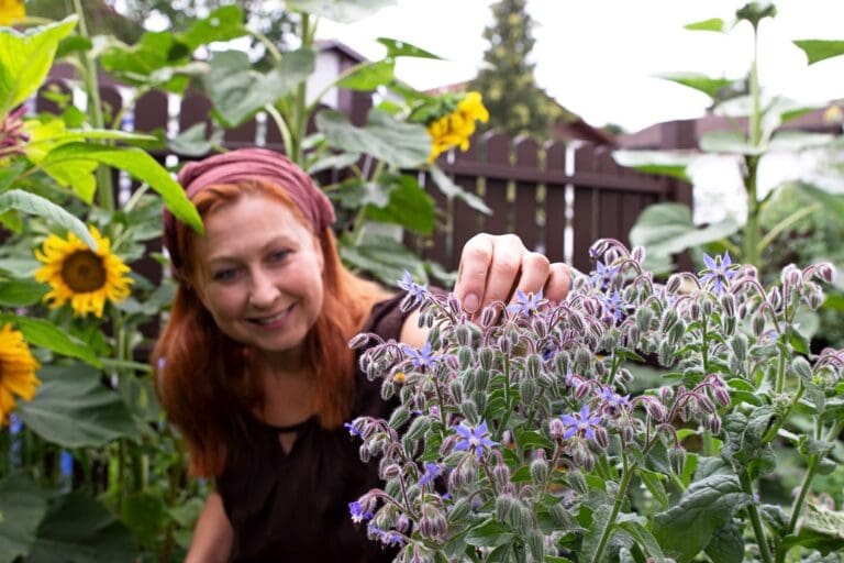 The UK's bumblebees are in crisis - Bumblebee Conservation Trust