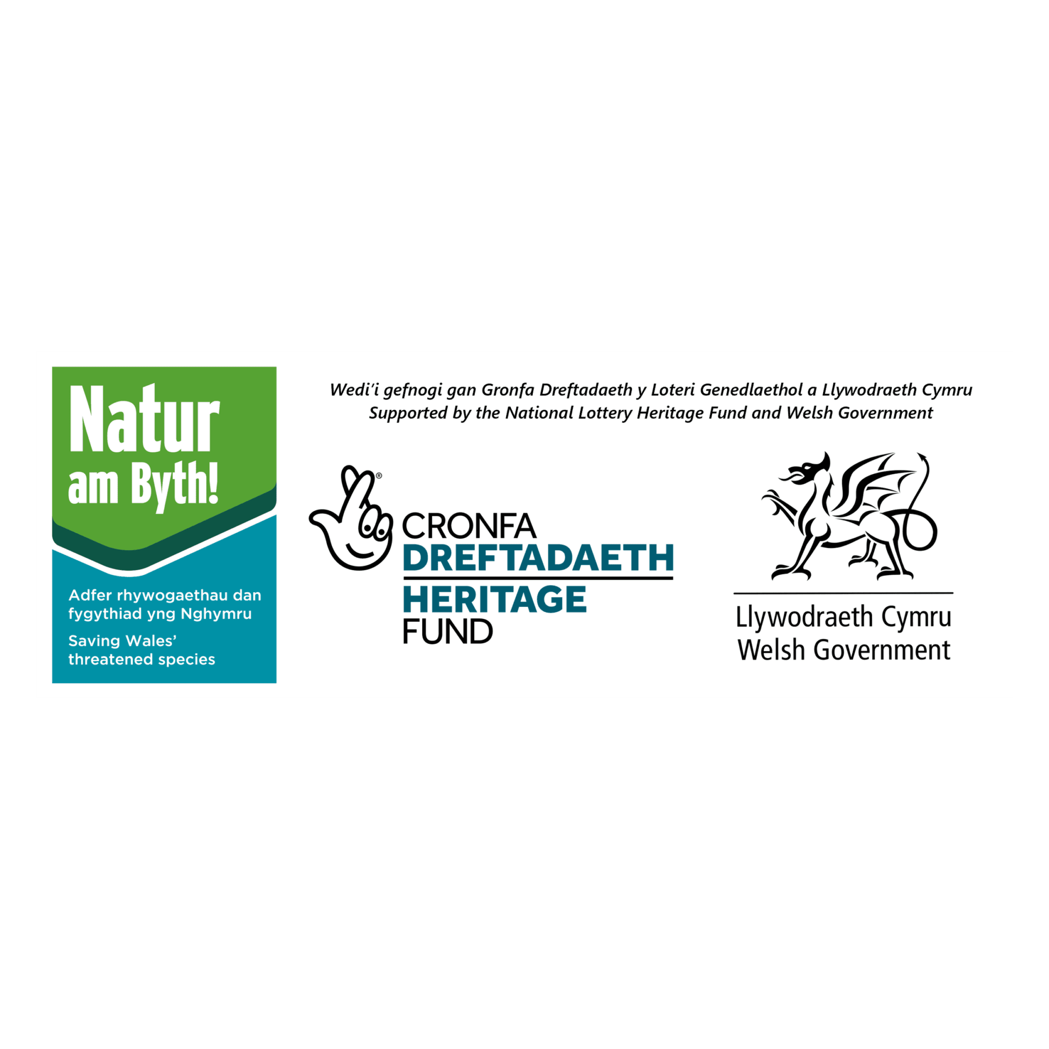 Natur am Byth! - Bumblebee Conservation Trust