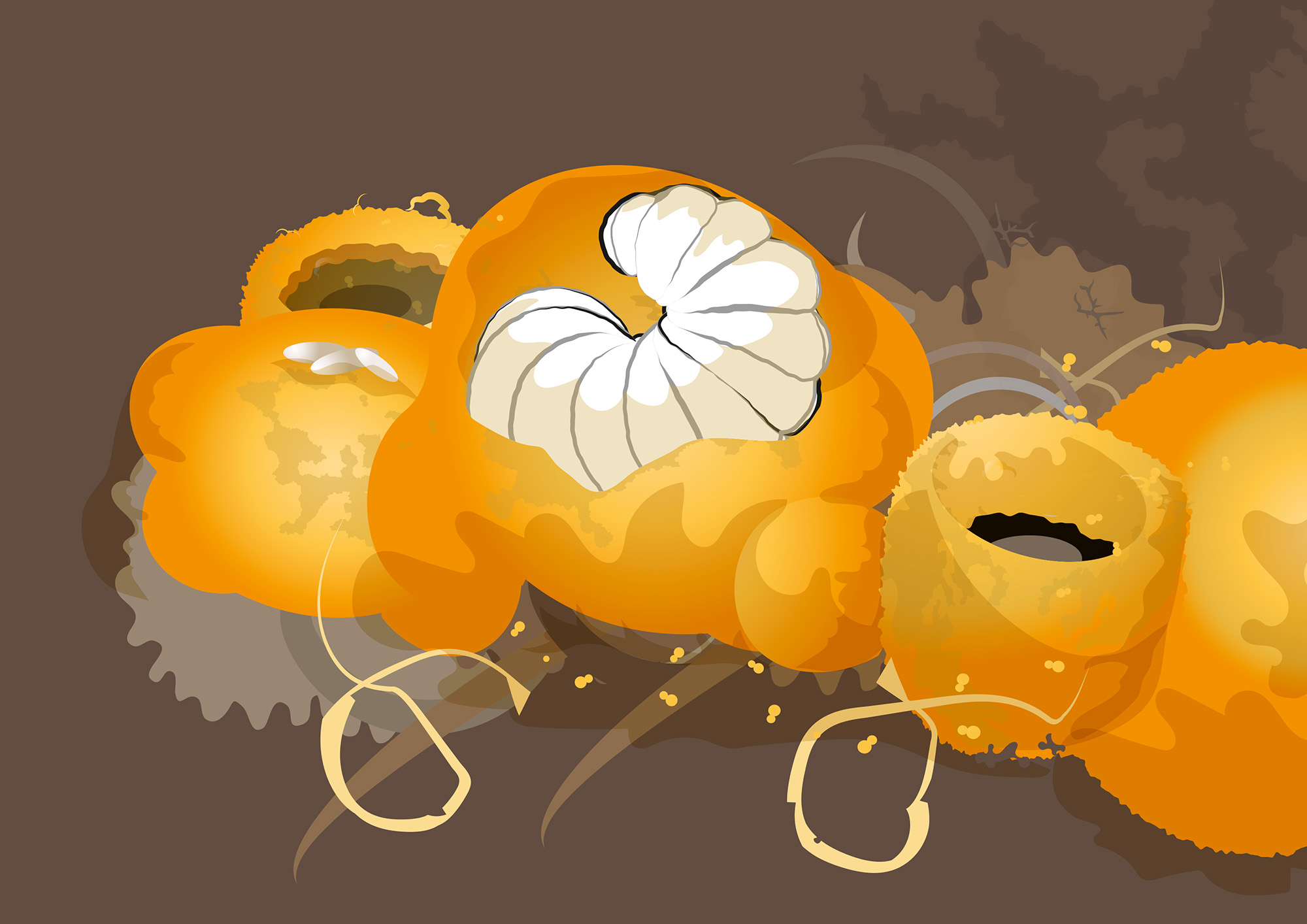 Lifecycle - Bumblebee Conservation Trust The bumblebee lifecycle