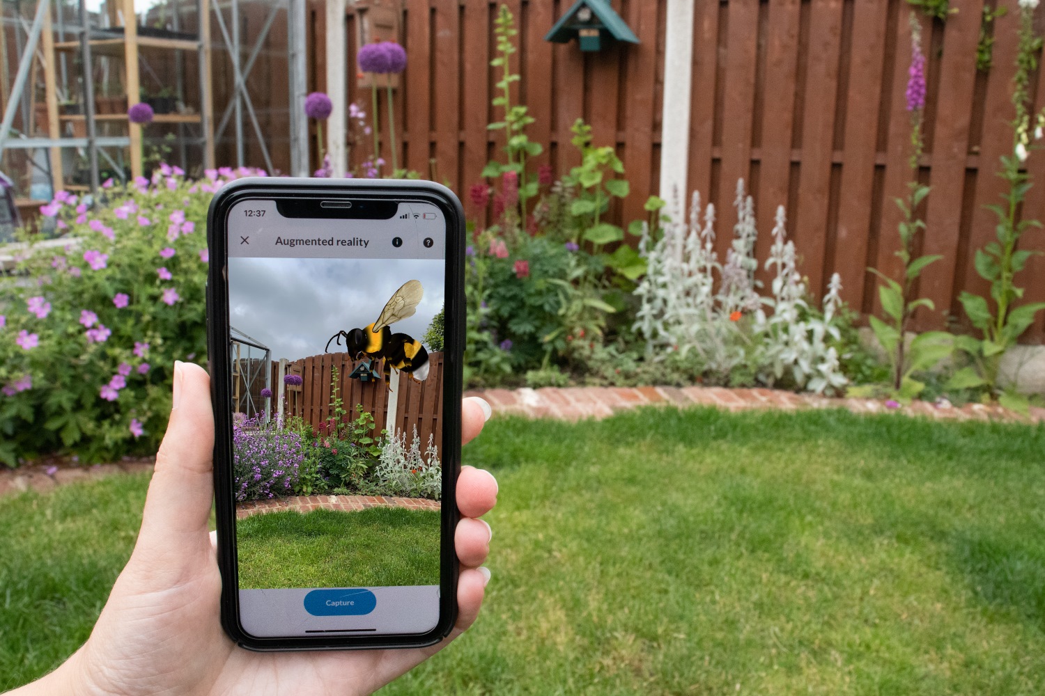 Get our free bumblebee ID app - Bumblebee Conservation Trust