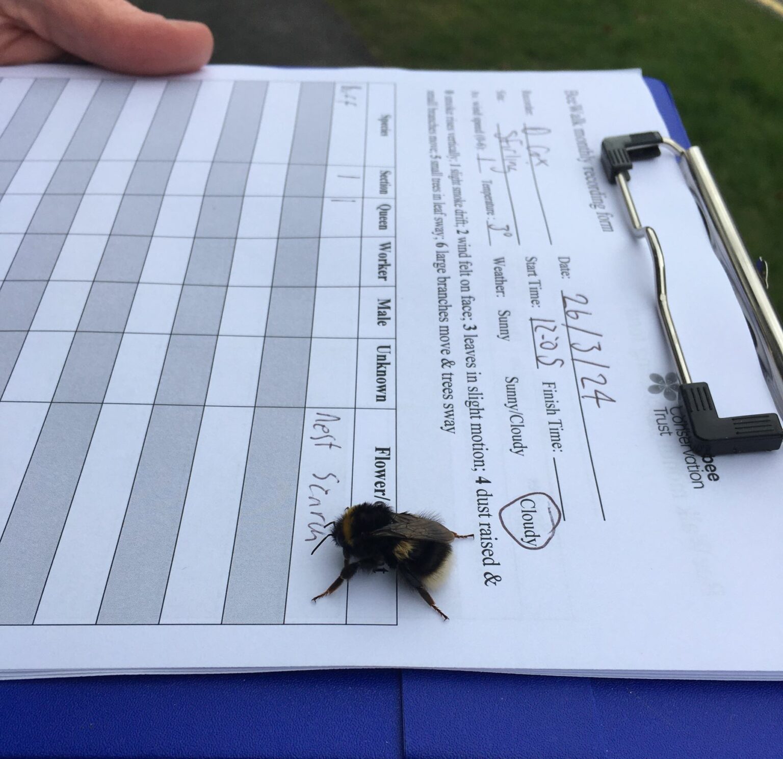 Bumblebee survey form - Bumblebee Conservation Trust