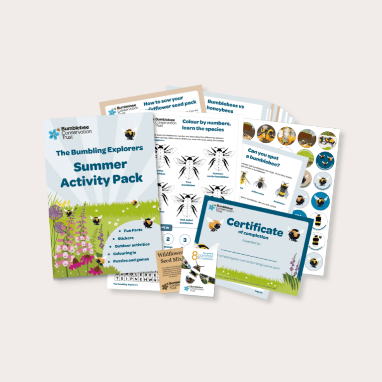 Bumbling Explorers - Bumblebee Conservation Trust