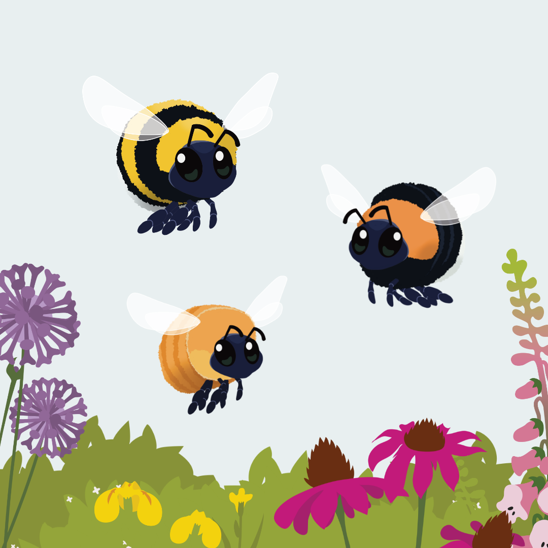 Bumbling Explorers - Bumblebee Conservation Trust