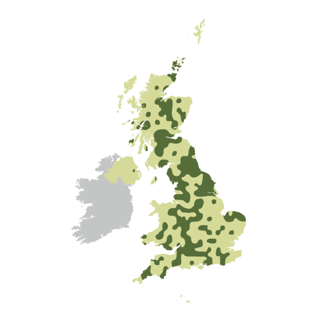 Gypsy cuckoo bumblebee - Bumblebee Conservation Trust