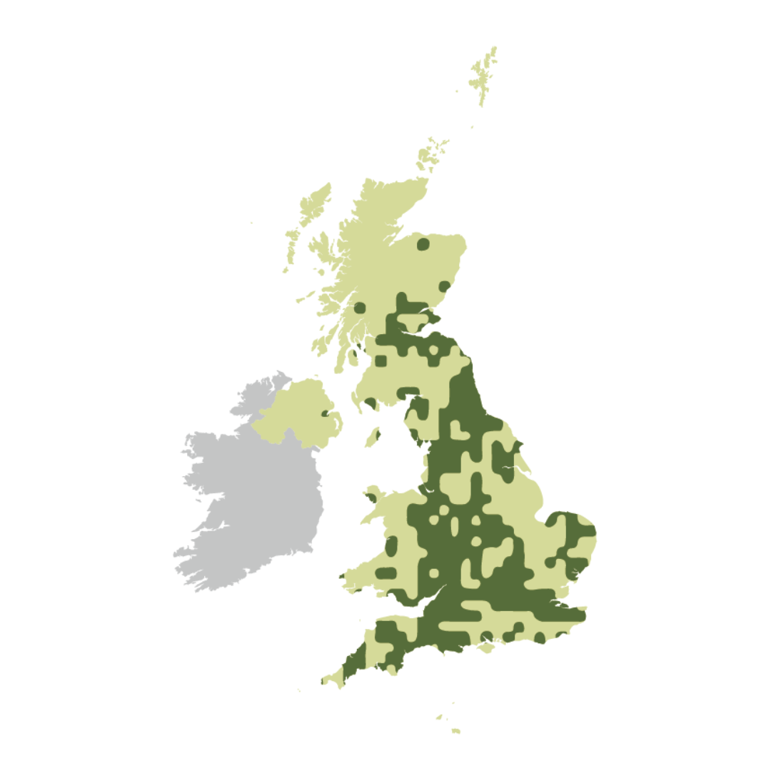 Field cuckoo bumblebee - Bumblebee Conservation Trust
