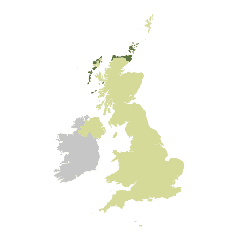 Great Yellow bumblebee - Bumblebee Conservation Trust