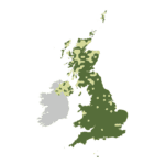 Garden bumblebee - Bumblebee Conservation Trust