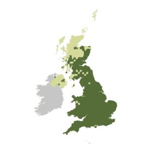 Tree bumblebee - Bumblebee Conservation Trust