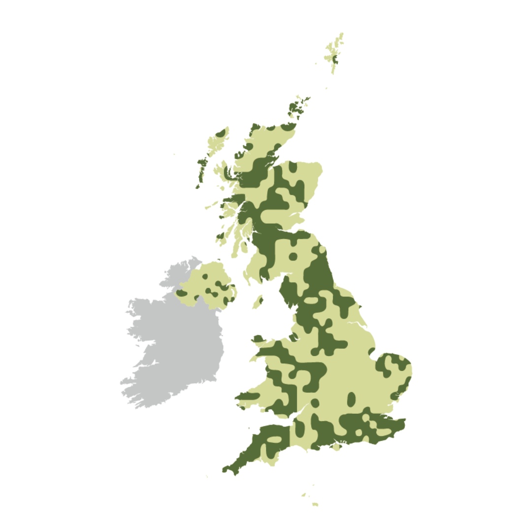 Heath bumblebee - Bumblebee Conservation Trust