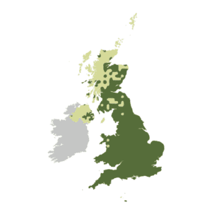 Red-tailed bumblebee - Bumblebee Conservation Trust