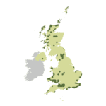 Moss carder bumblebee - Bumblebee Conservation Trust