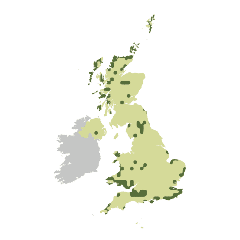 Moss carder bumblebee - Bumblebee Conservation Trust