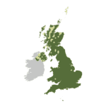 Common carder bumblebee - Bumblebee Conservation Trust