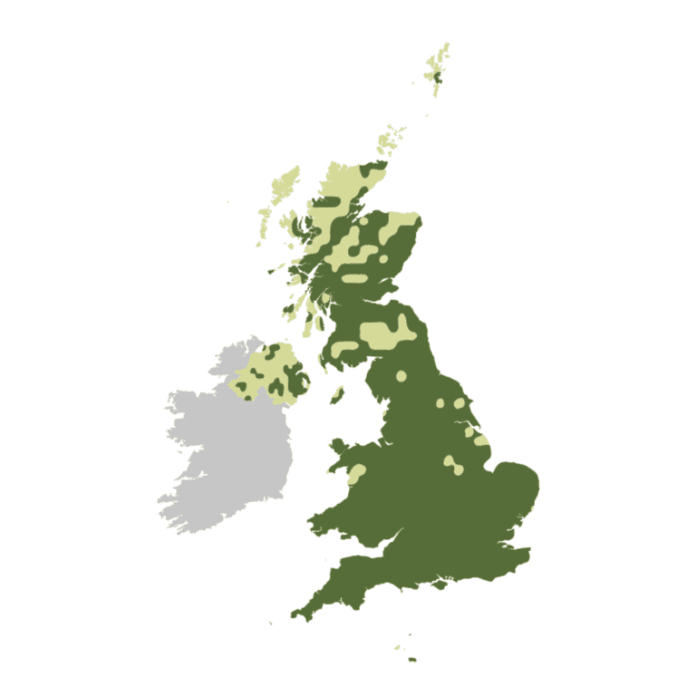 Early bumblebee - Bumblebee Conservation Trust