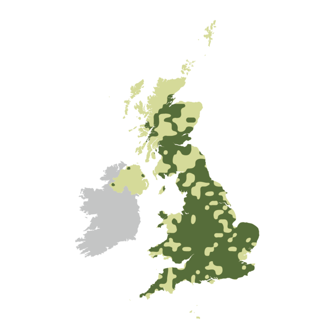 Forest cuckoo bumblebee - Bumblebee Conservation Trust