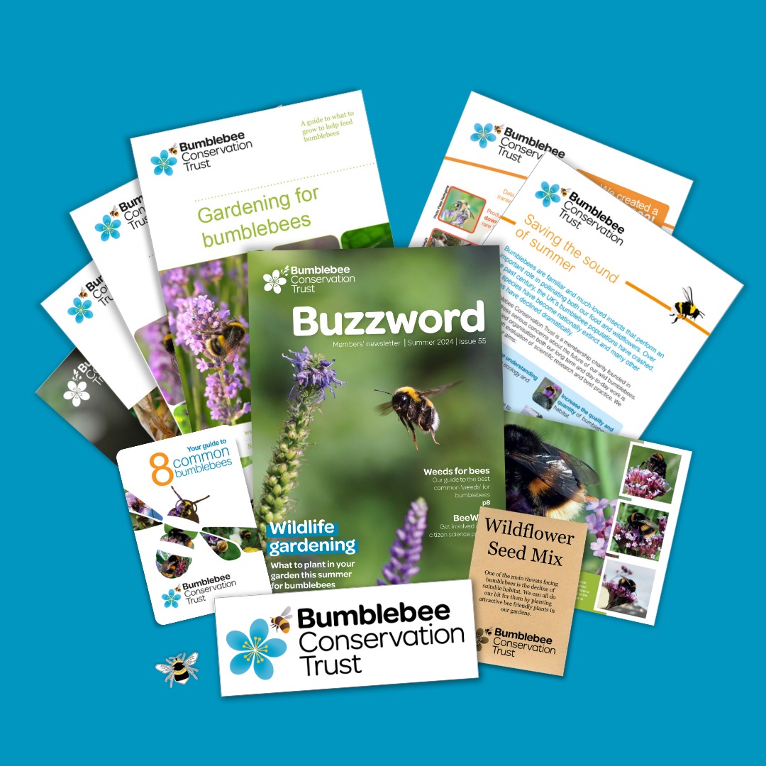 Bee the change - Bumblebee Conservation Trust