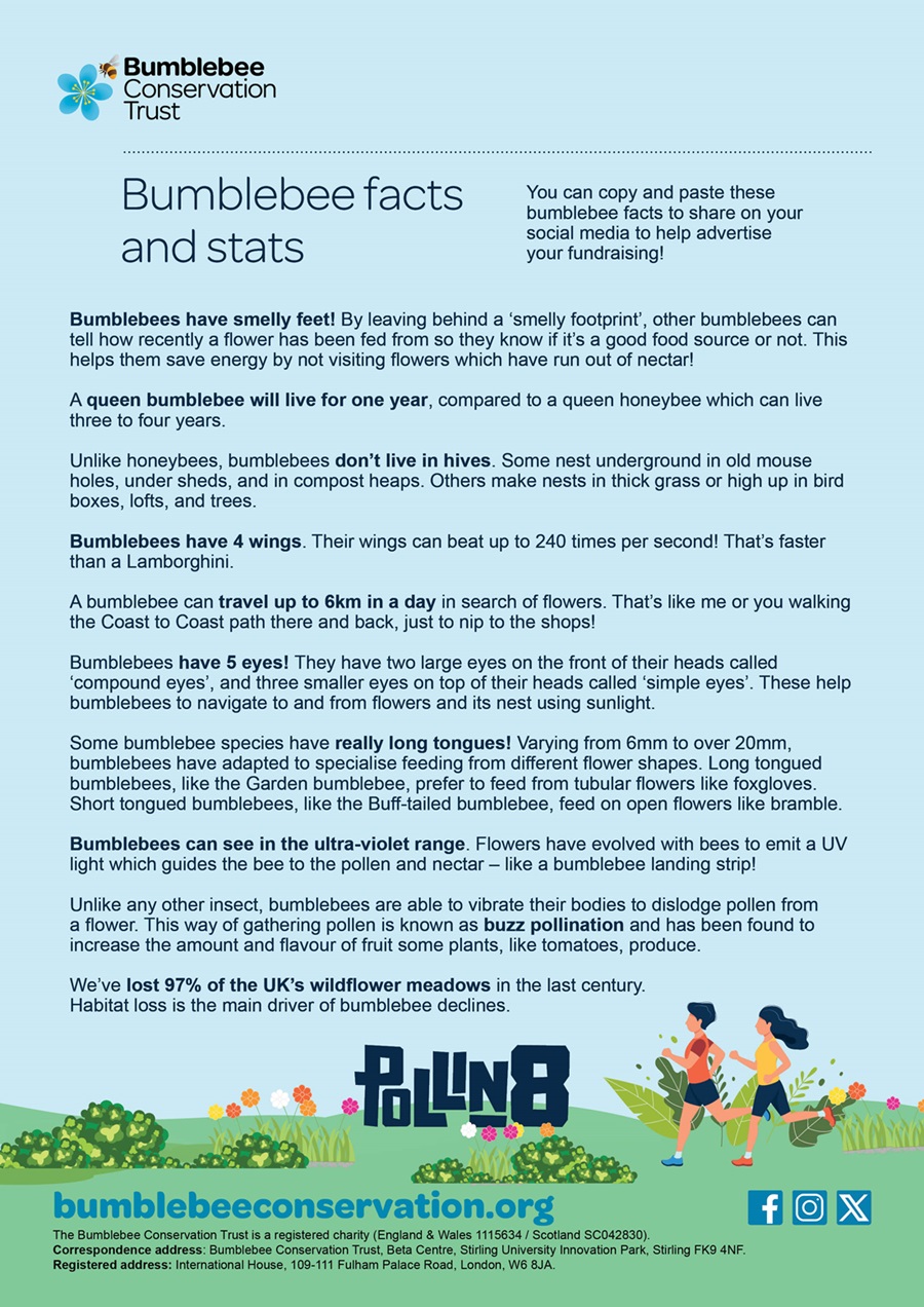 Pollin8 resources - Bumblebee Conservation Trust