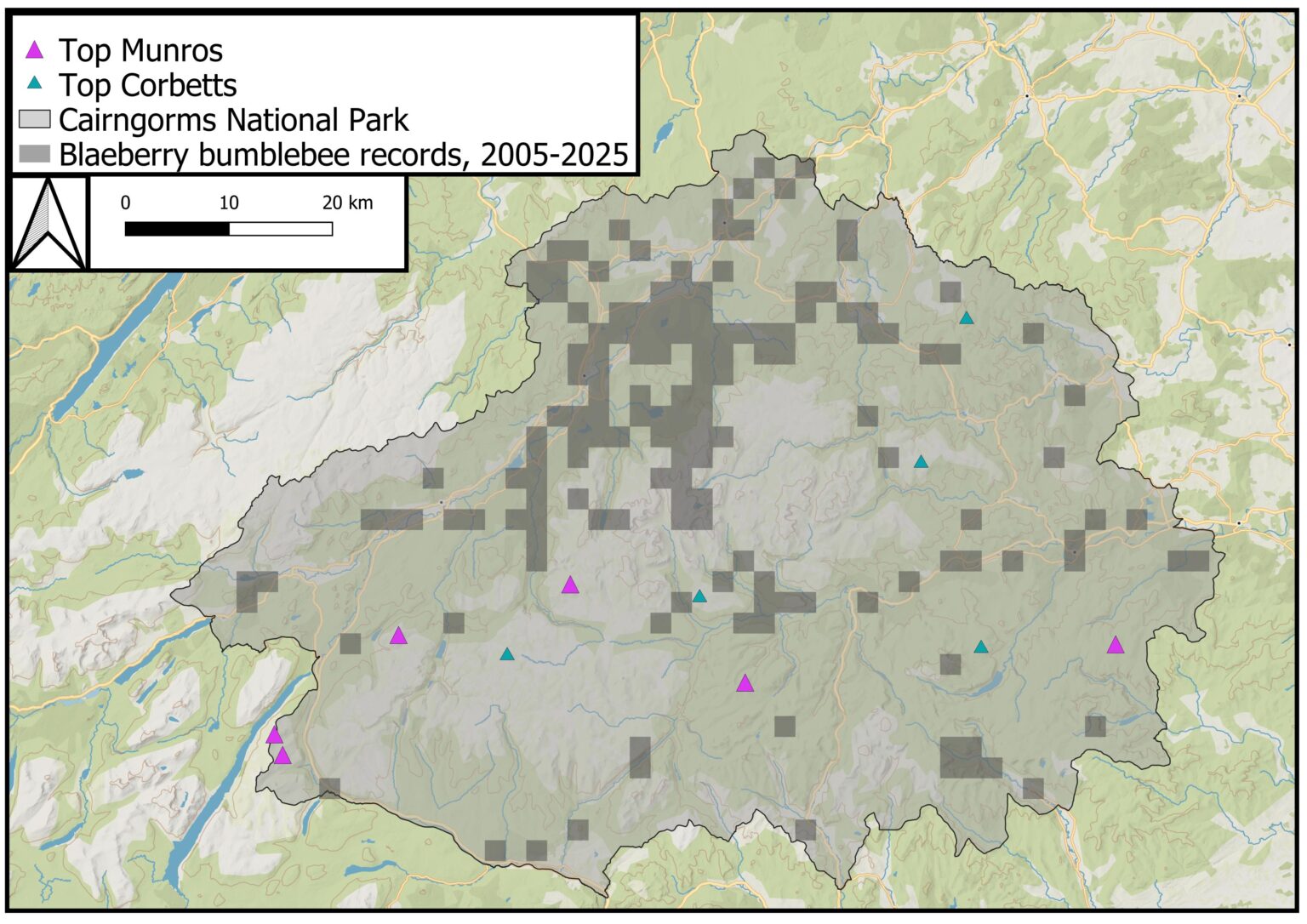 Bumblebee-bagging in the Cairngorms - Bumblebee Conservation Trust