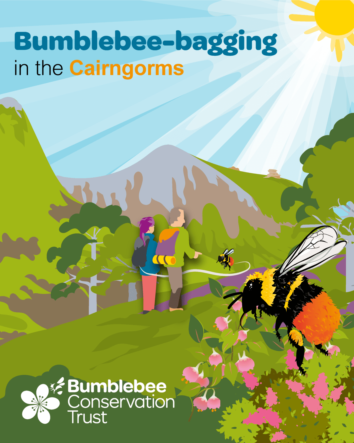 The UK's bumblebees are in crisis - Bumblebee Conservation Trust