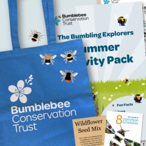 Declaration issued to halt UK insect declines as evidence mounts of ...