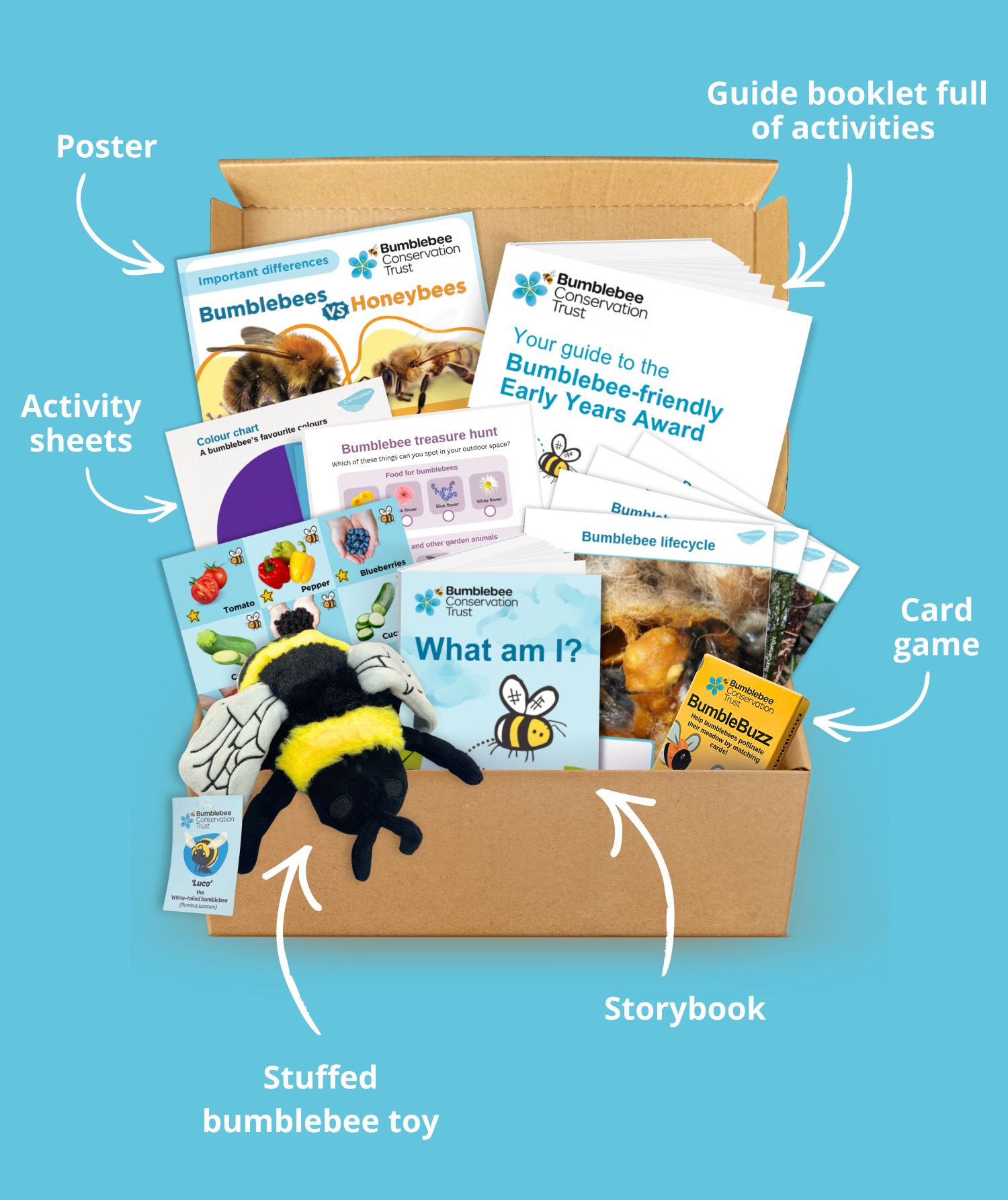 Bumblebee-friendly Early Years Award - Bumblebee Conservation Trust